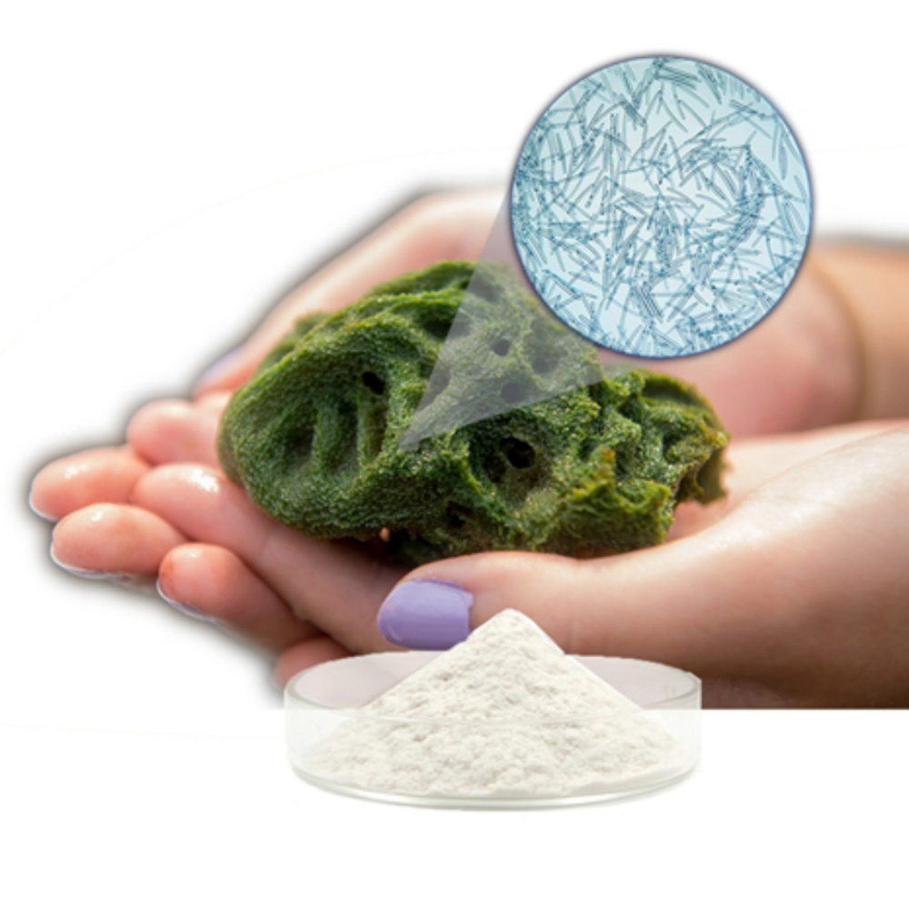 RIBESKIN BLOG - Introducing GWANG PEEL-Micro Spicule