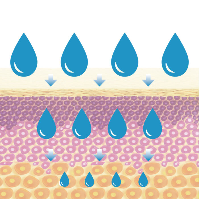 DEEP SHOOT HA - RIBESKIN Hyaluronic Acid Treatment for Salons